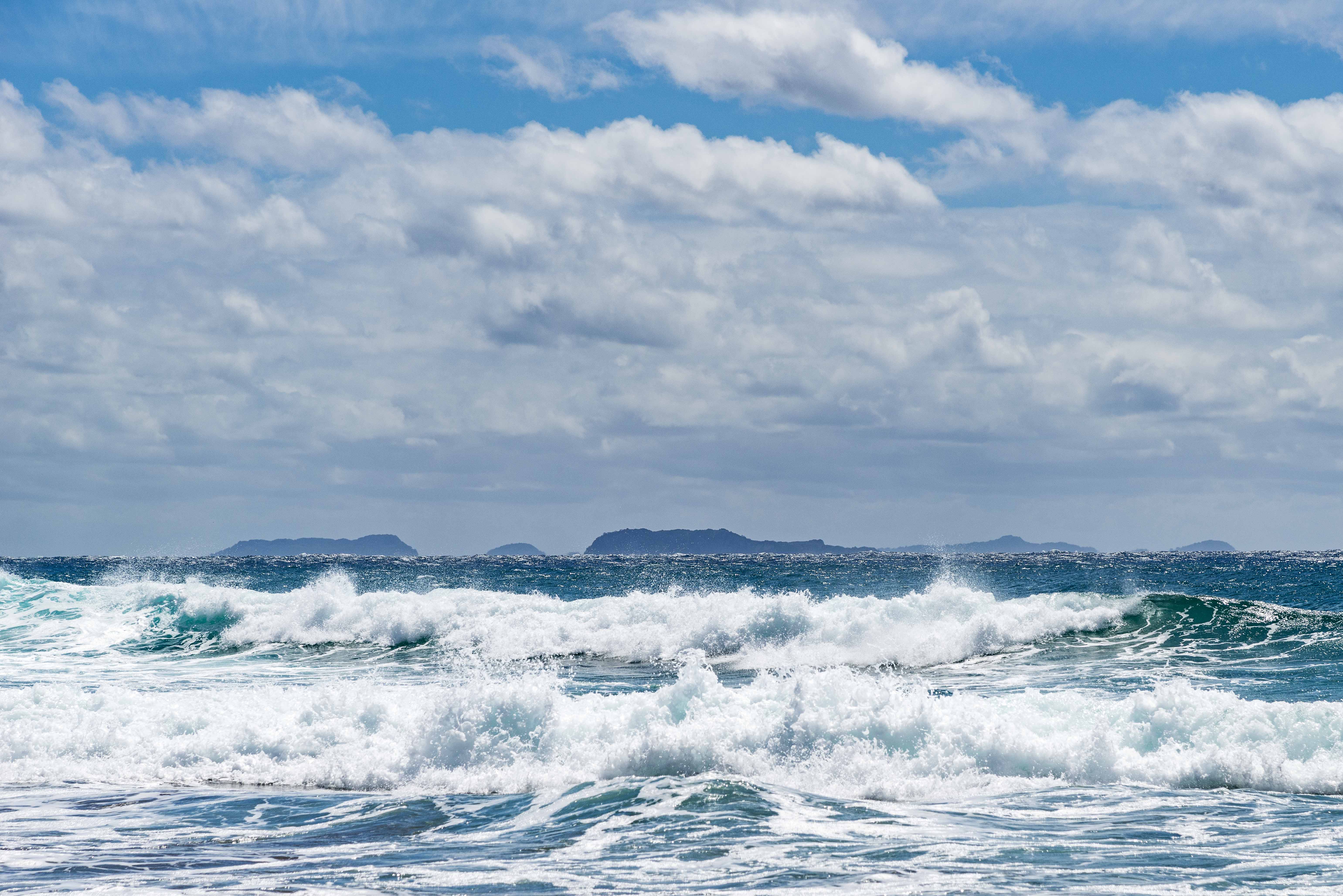 Coromandel Loop - Trippics